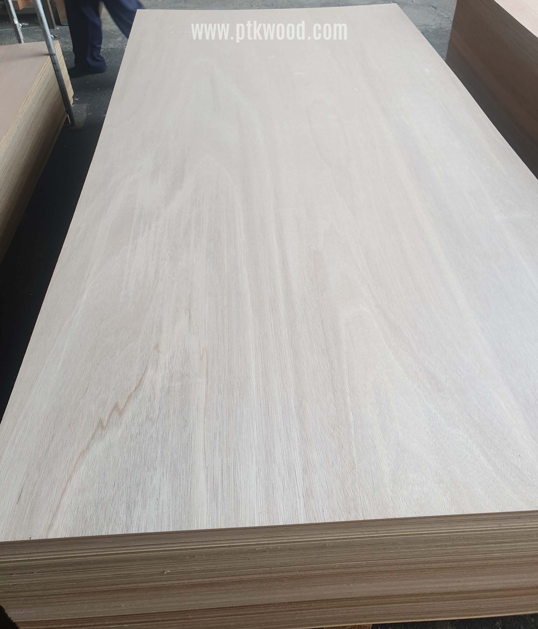Tropical Plywood / Commercial plywoods - บริษัท พี ที เค วู้ด